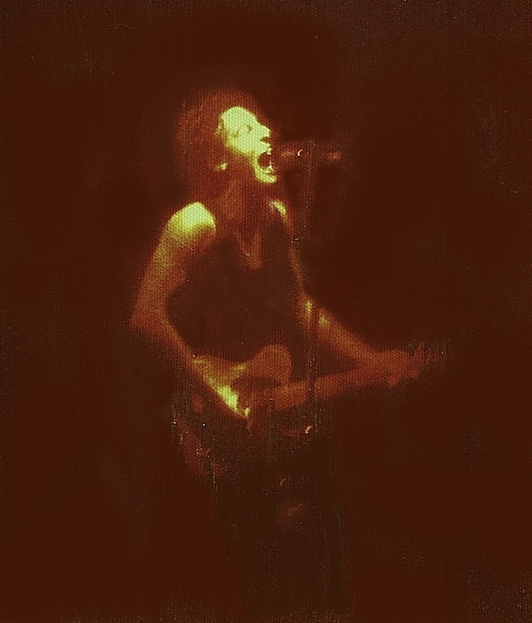 Bruce Springsteen's 1977 Concert & Tour History | Concert Archives