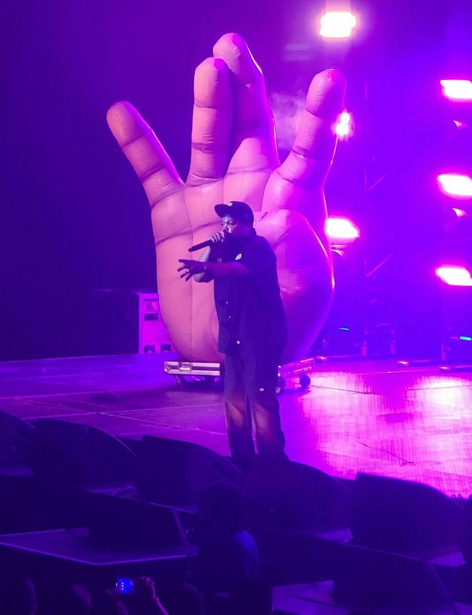 Ice Cube Concert & Tour History (Updated for 2024) | Concert Archives