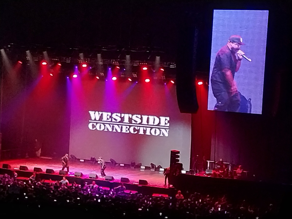 Ice Cube Concert & Tour History (Updated for 2024) | Concert Archives