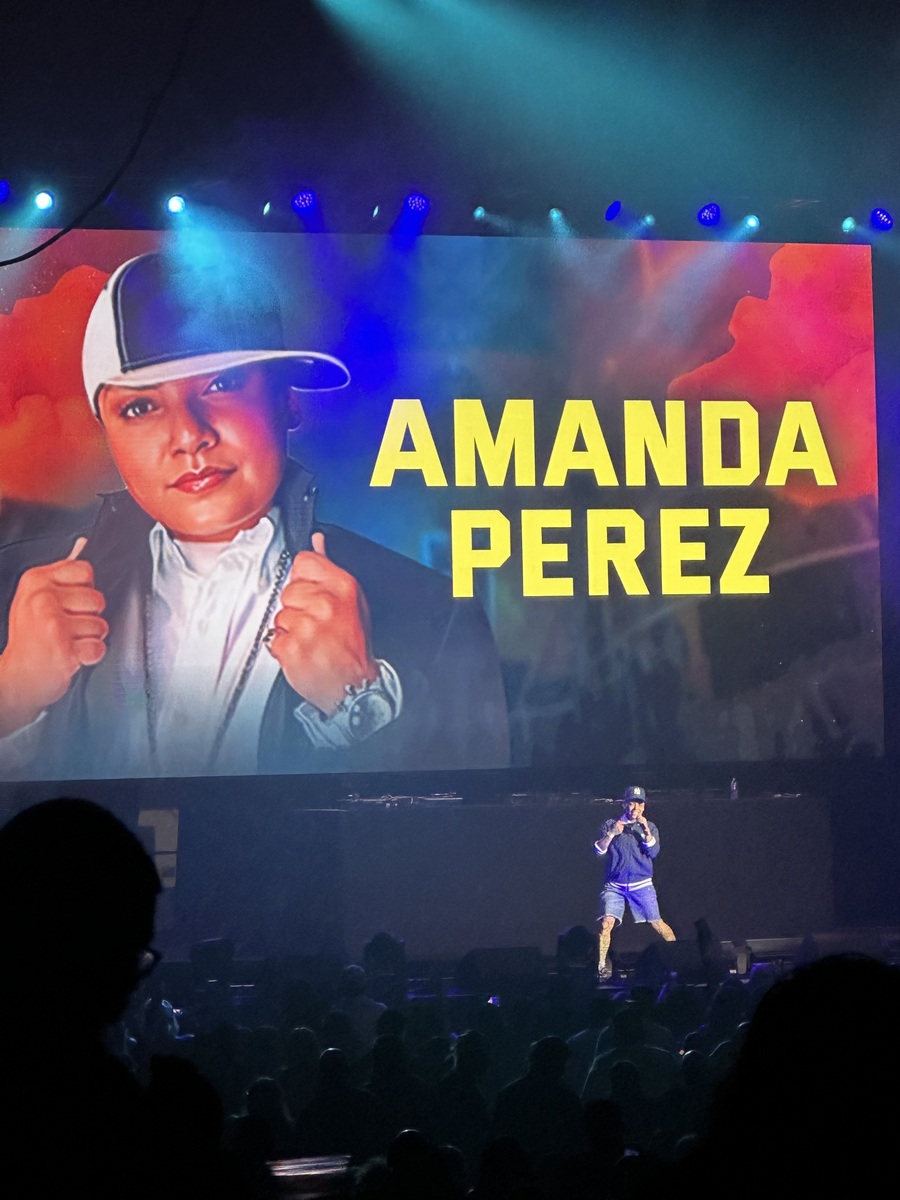 Ice Cube Concert & Tour History (Updated for 2024) | Concert Archives