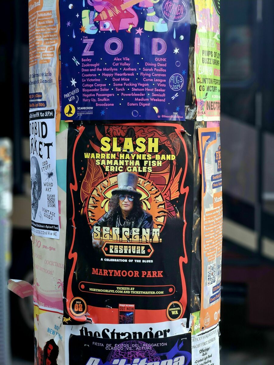 Samantha Fish Concert & Tour History (Updated for 2024) | Concert Archives