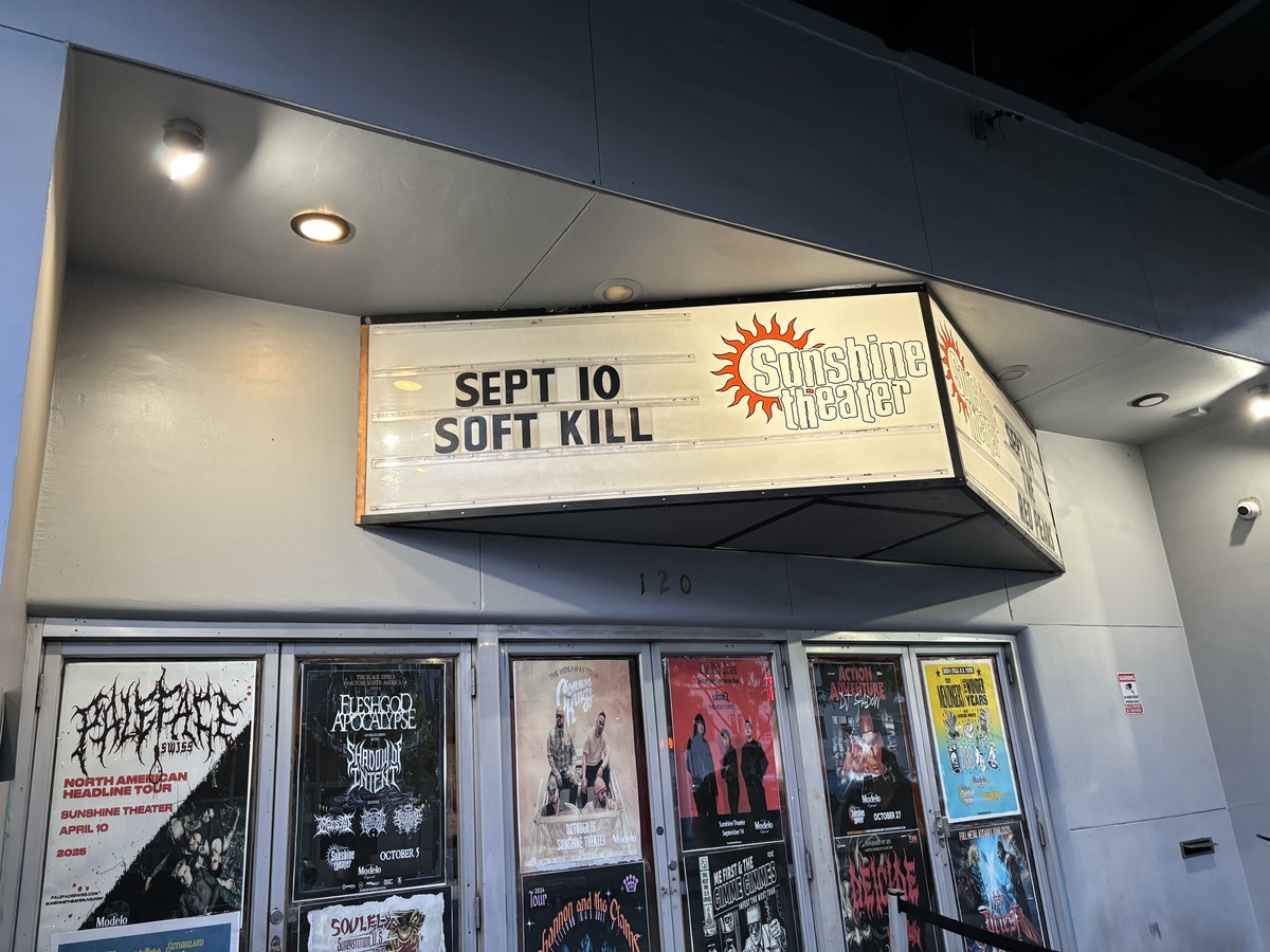 Share Your Concert Photos For Free | Concert Archives