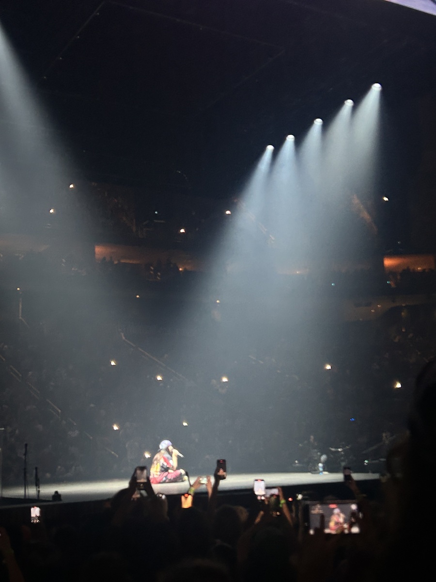 Billie Eilish Concert Photos | Concert Archives