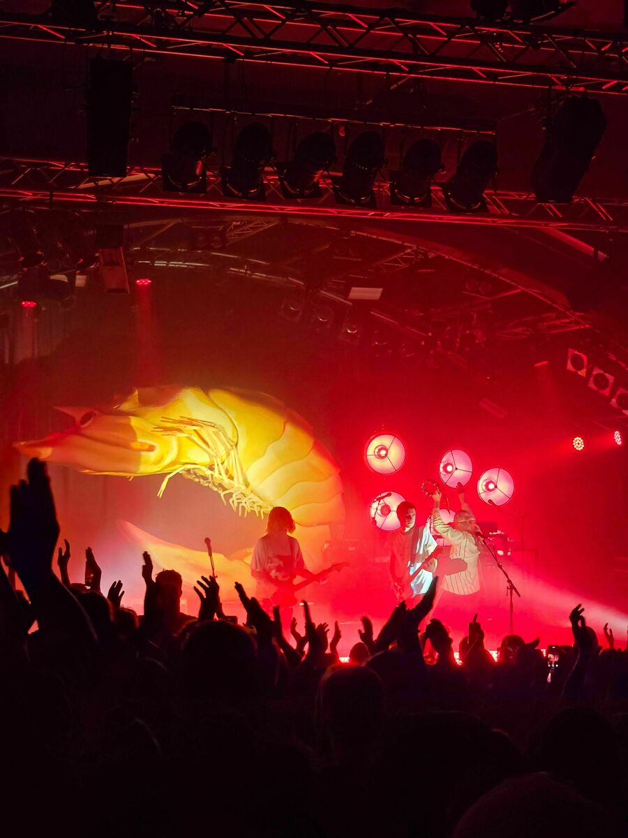 Sonic Reducer Concert & Tour History (Updated for 2025) | Concert Archives